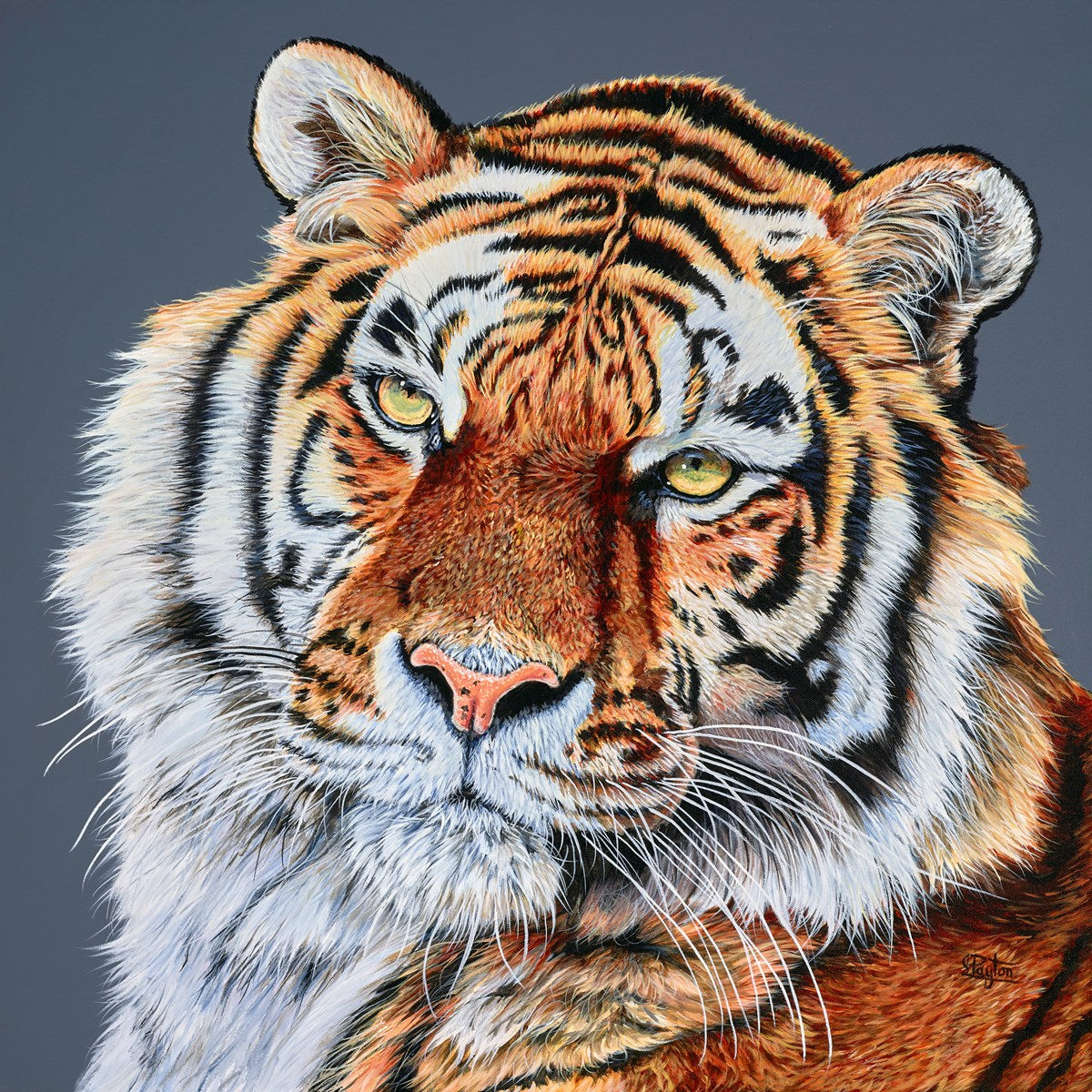 Sue Payton | Clarendon Fine Art