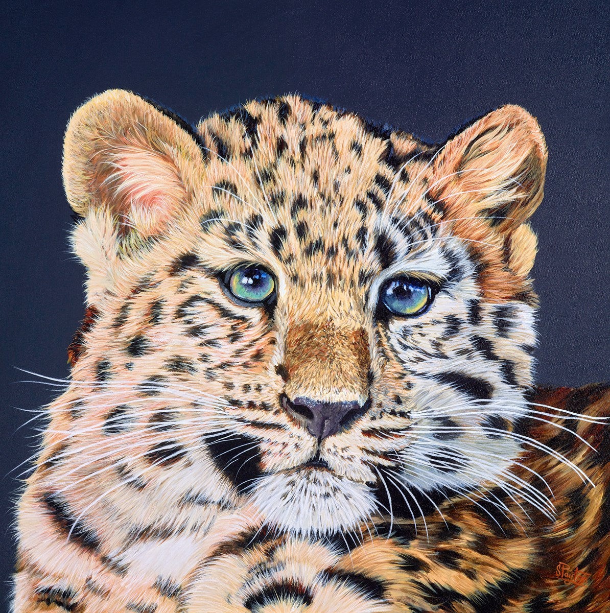 Amur Leopard Cub | Sue Payton - Clarendon Fine Art