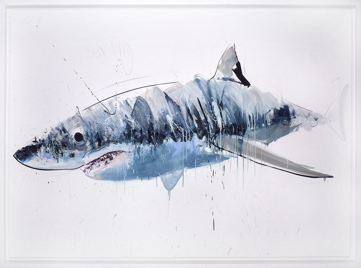 Sea King | Dave White - Clarendon Fine Art