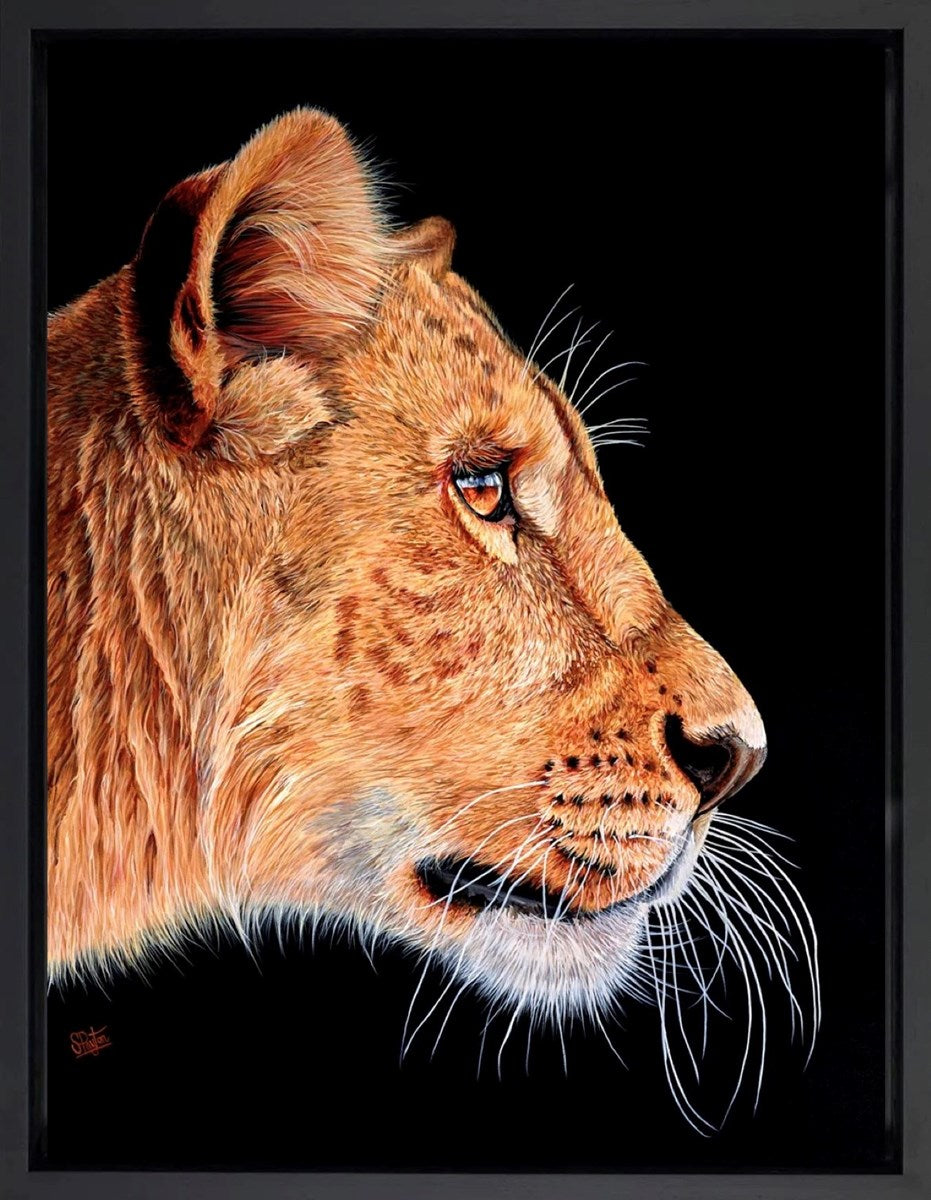 Huntress | Sue Payton – Clarendon Fine Art