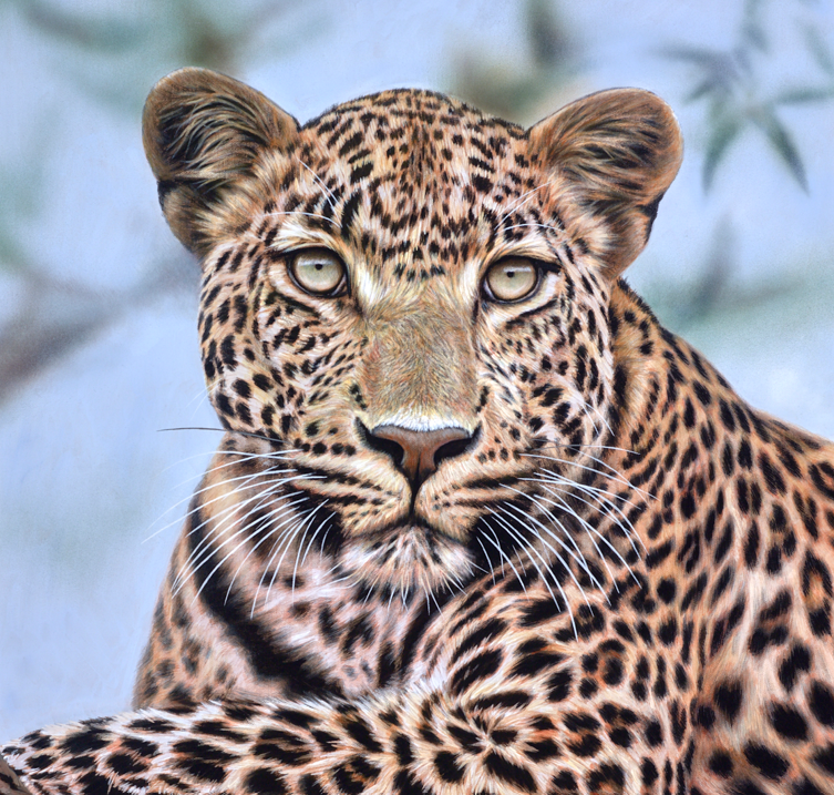 Marco Grasso - Buy Original Paintings – Clarendon Fine Art