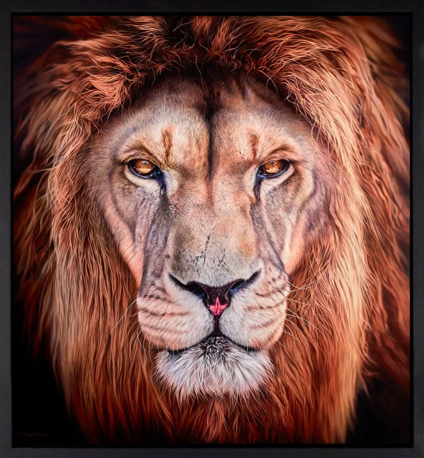 Ringo | Darryn Eggleton - Clarendon Fine Art