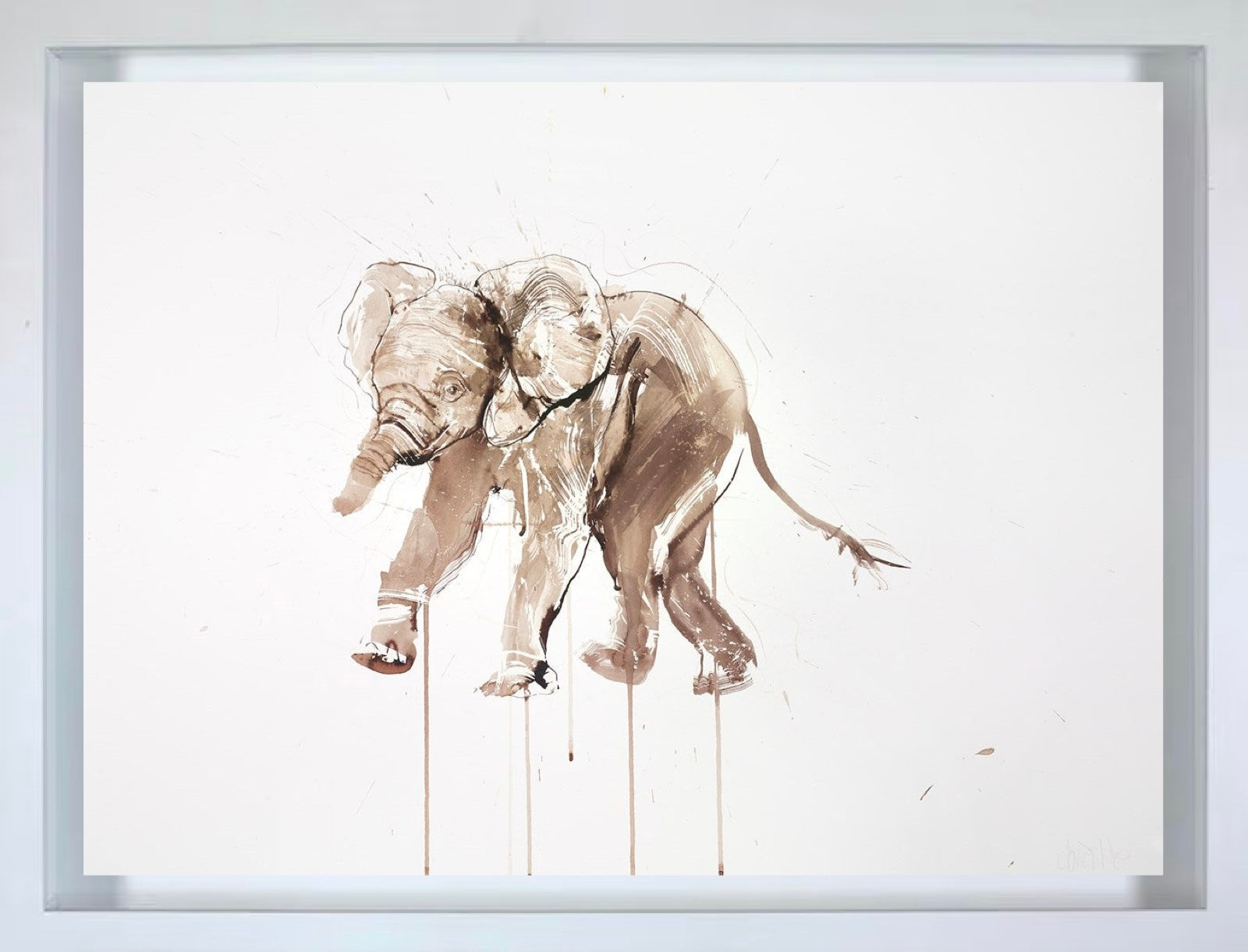 Baby Elephant Ink Study | Dave White – Clarendon Fine Art