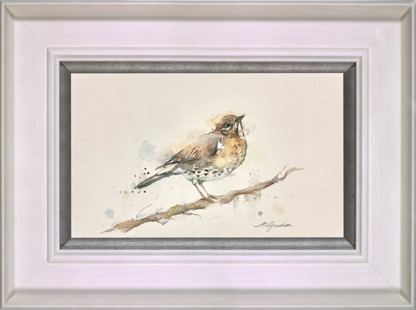 Pretty Song Thrush | Amanda Gordon – Clarendon Fine Art