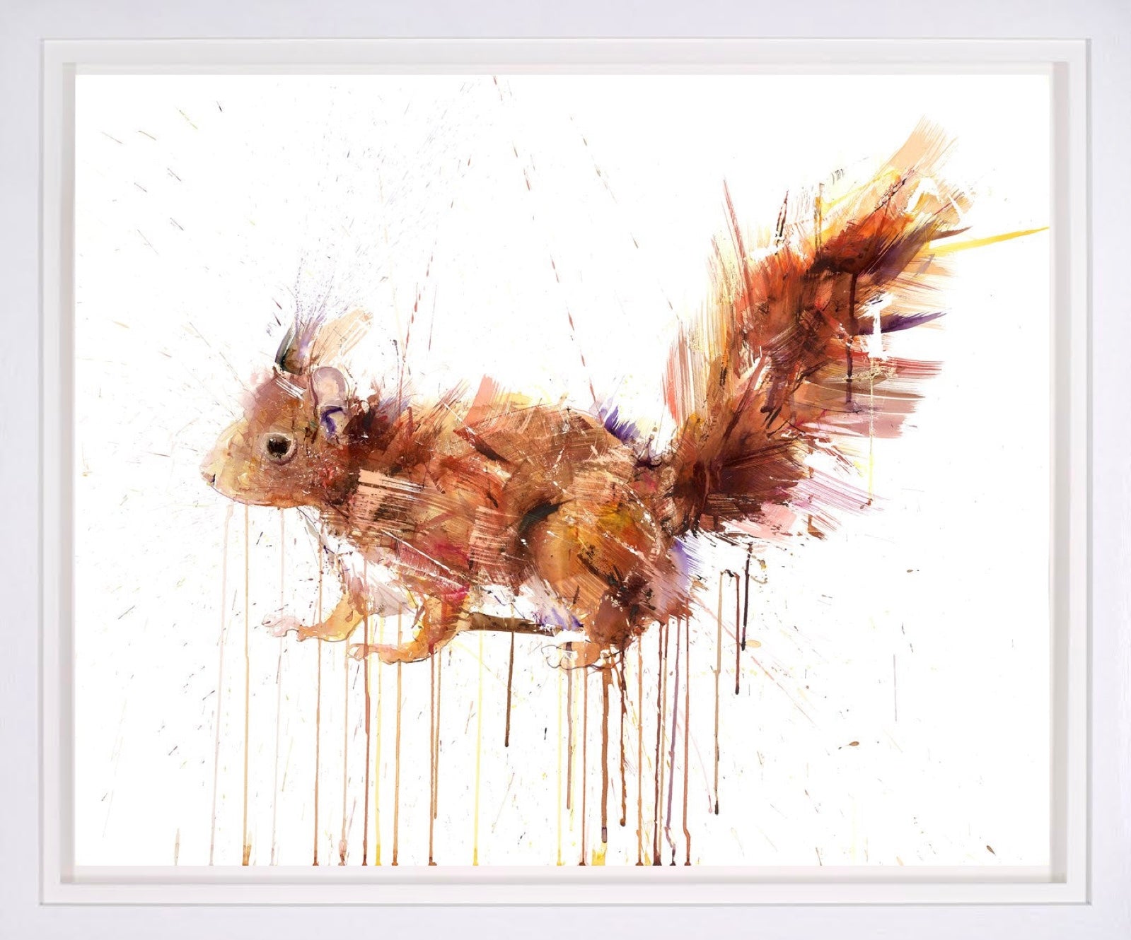 Baby Red Squirrel | Dave White – Clarendon Fine Art