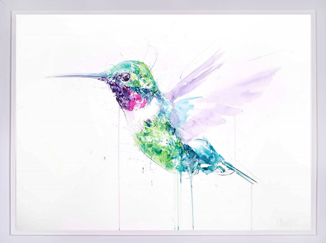 Hummingbird I | Dave White - Clarendon Fine Art