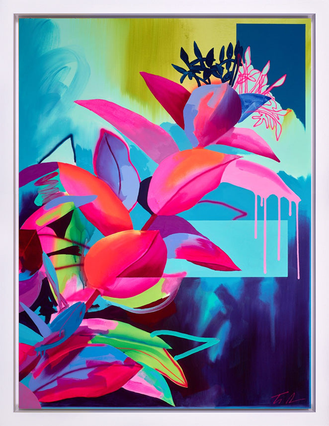 A Beautiful Angle | Tim Fowler – Clarendon Fine Art