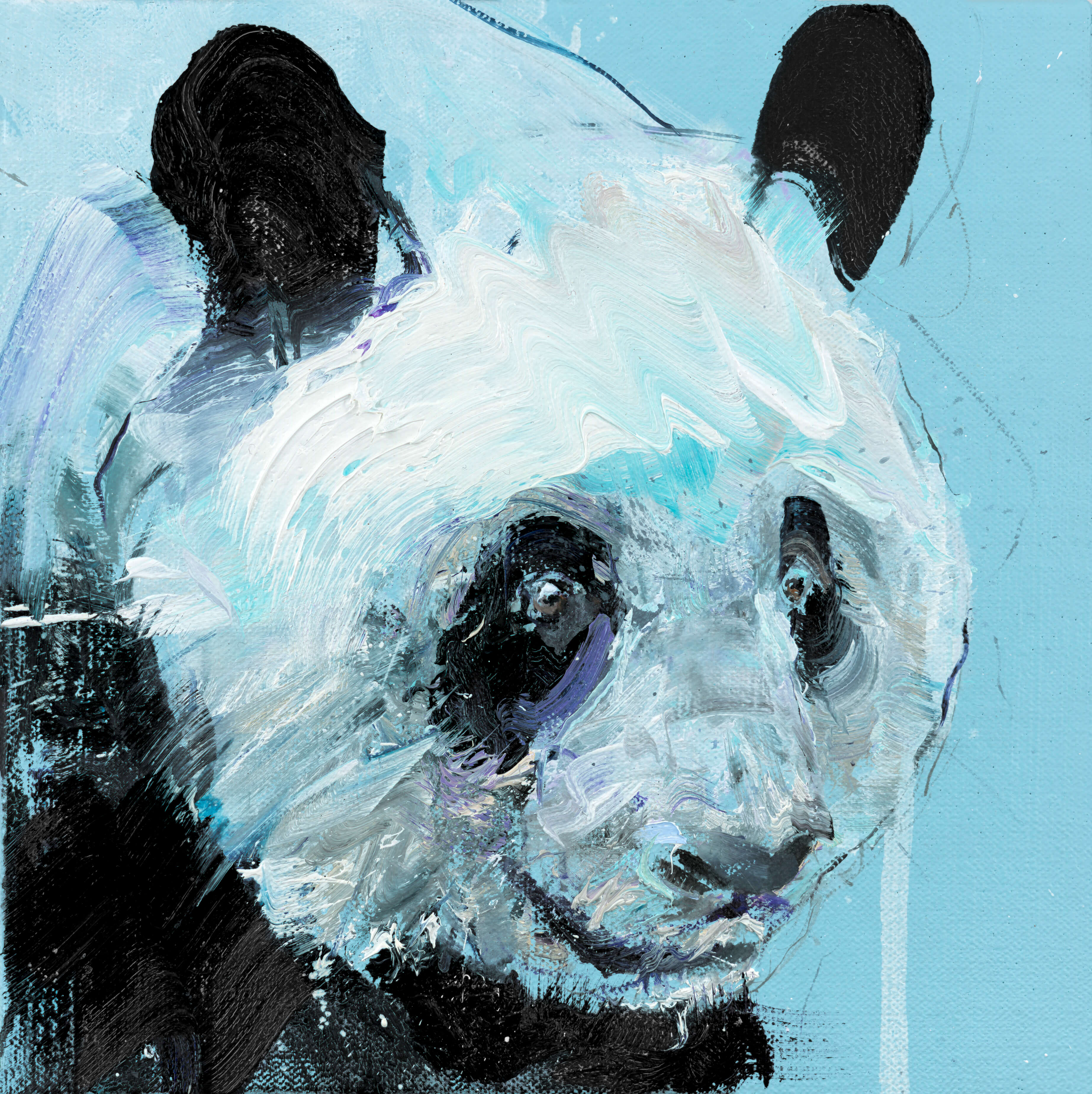 Panda III | Dave White - Clarendon Fine Art