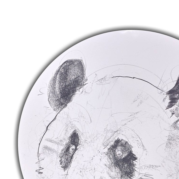 Giant Panda Study II | Dave White – Clarendon Fine Art