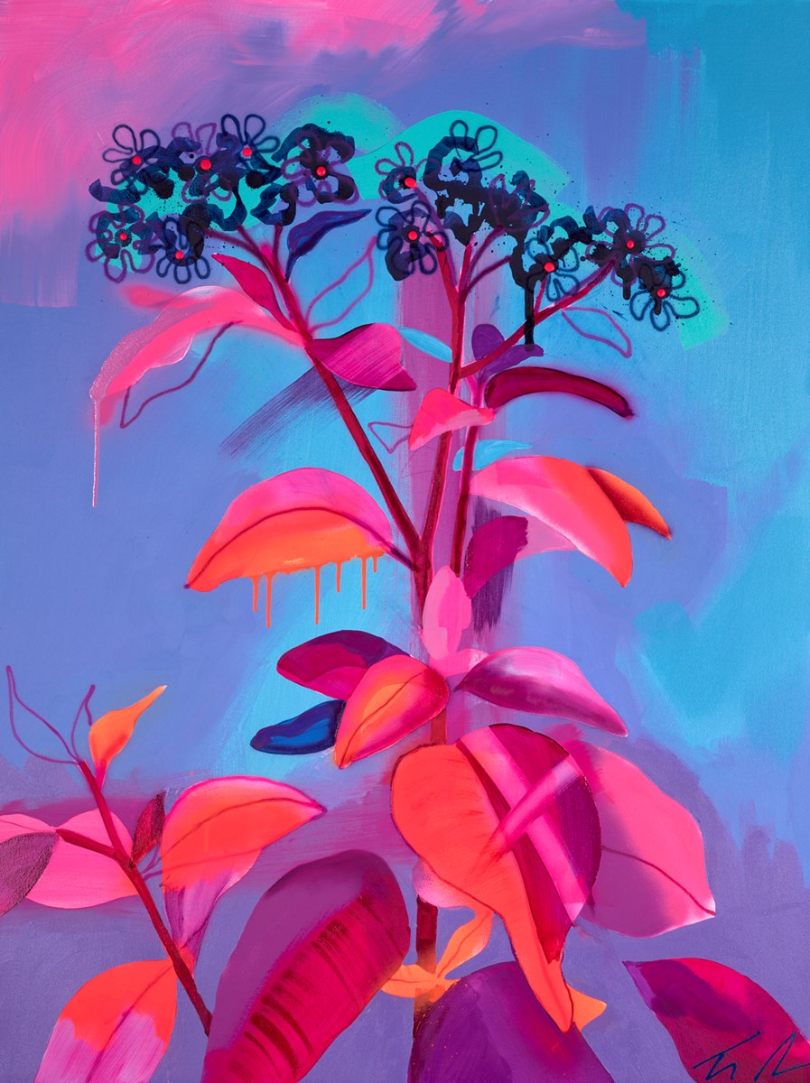 Feeling Pink | Tim Fowler - Clarendon Fine Art