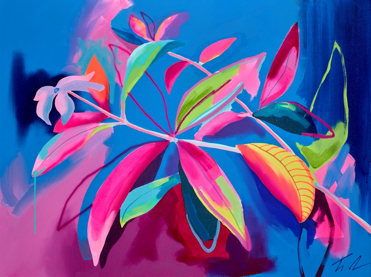 Pinwheel Flower | Tim Fowler – Clarendon Fine Art