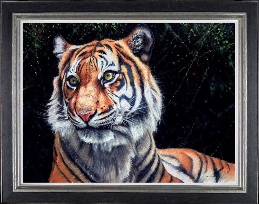 Mr Majestic | Pip McGarry – Clarendon Fine Art
