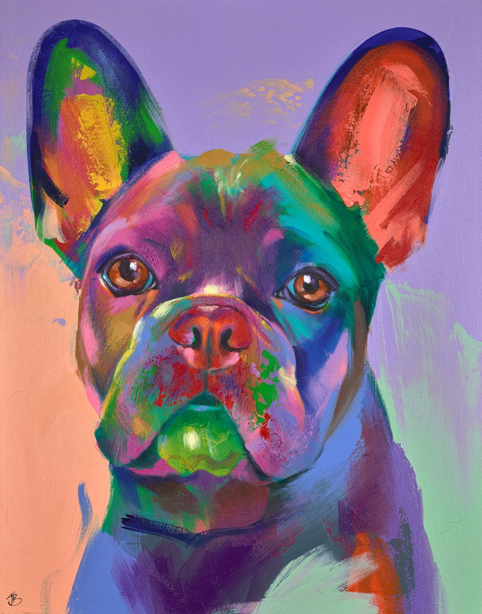 Frenchie Dreaming | Jenny Bardell – Clarendon Fine Art