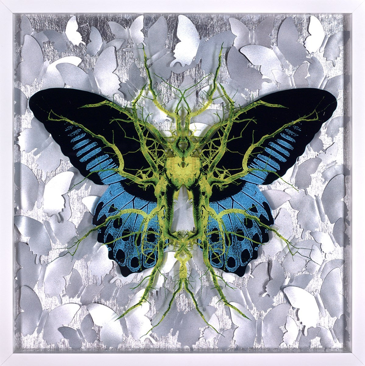 Aerial | Maxim - Clarendon Fine Art