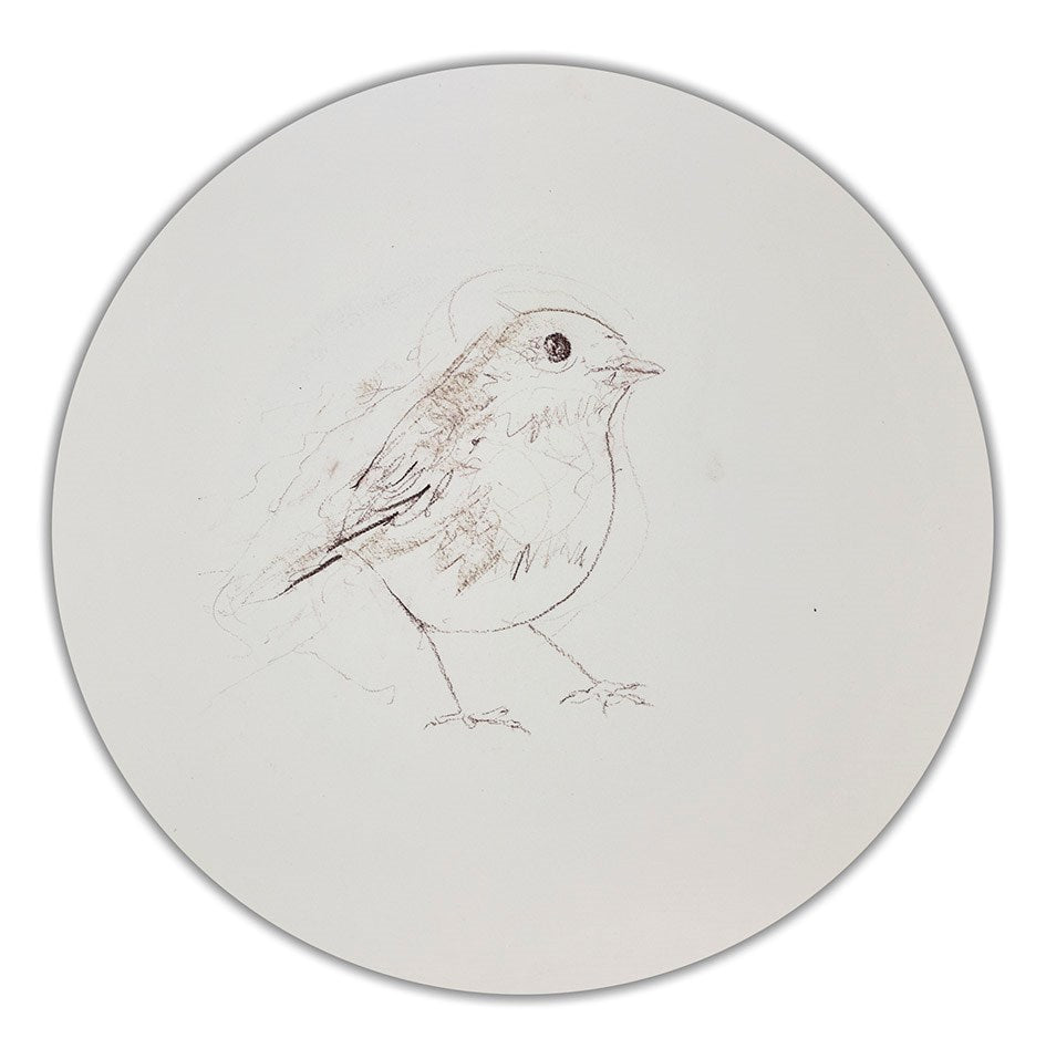Robin Sketch V | Dave White – Clarendon Fine Art