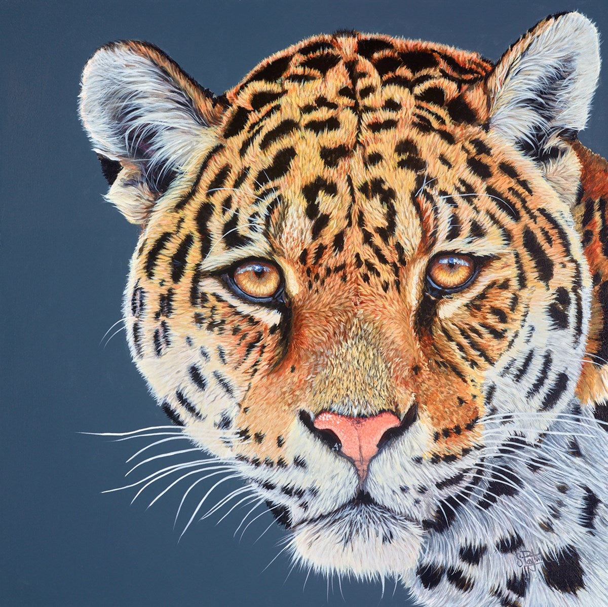 Amber Gaze | Sue Payton - Clarendon Fine Art