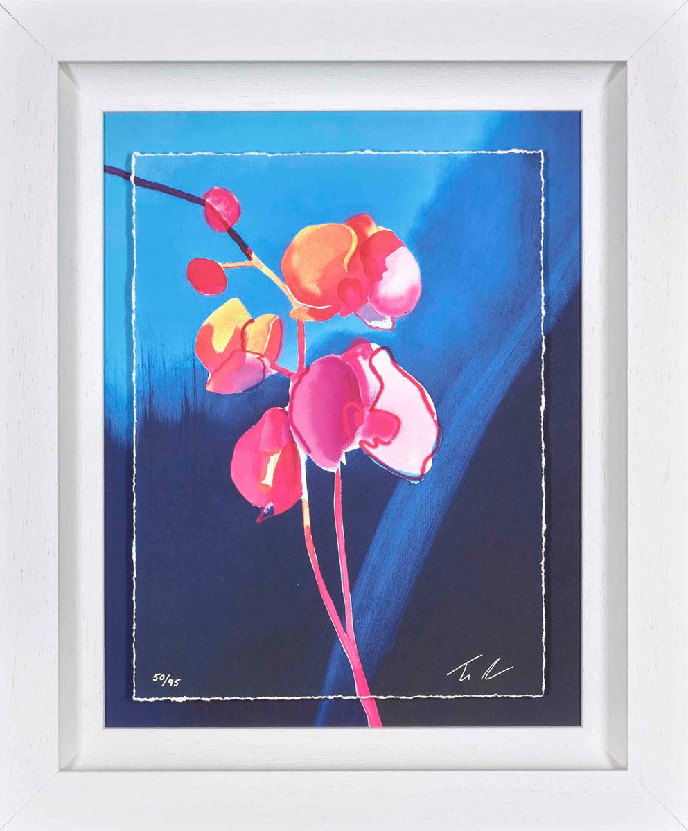 Ethereal | Tim Fowler – Clarendon Fine Art