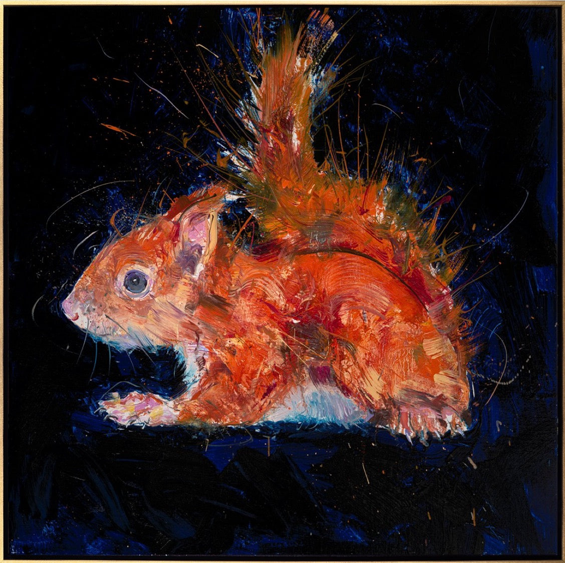 Young Red Squirrel | Dave White – Clarendon Fine Art