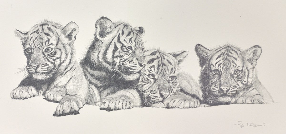 The Frisky Four | Pip McGarry – Clarendon Fine Art
