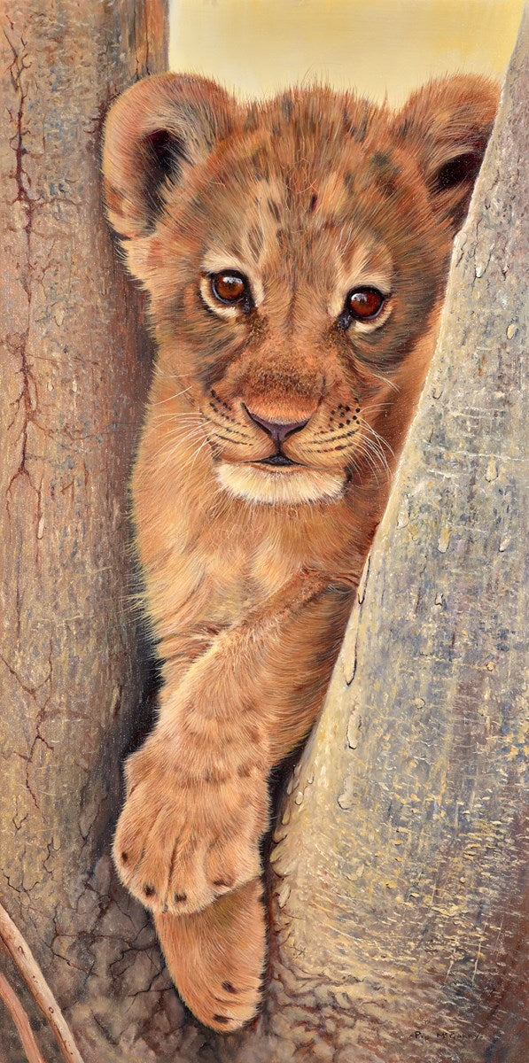 Lion Cub | Pip McGarry - Clarendon Fine Art