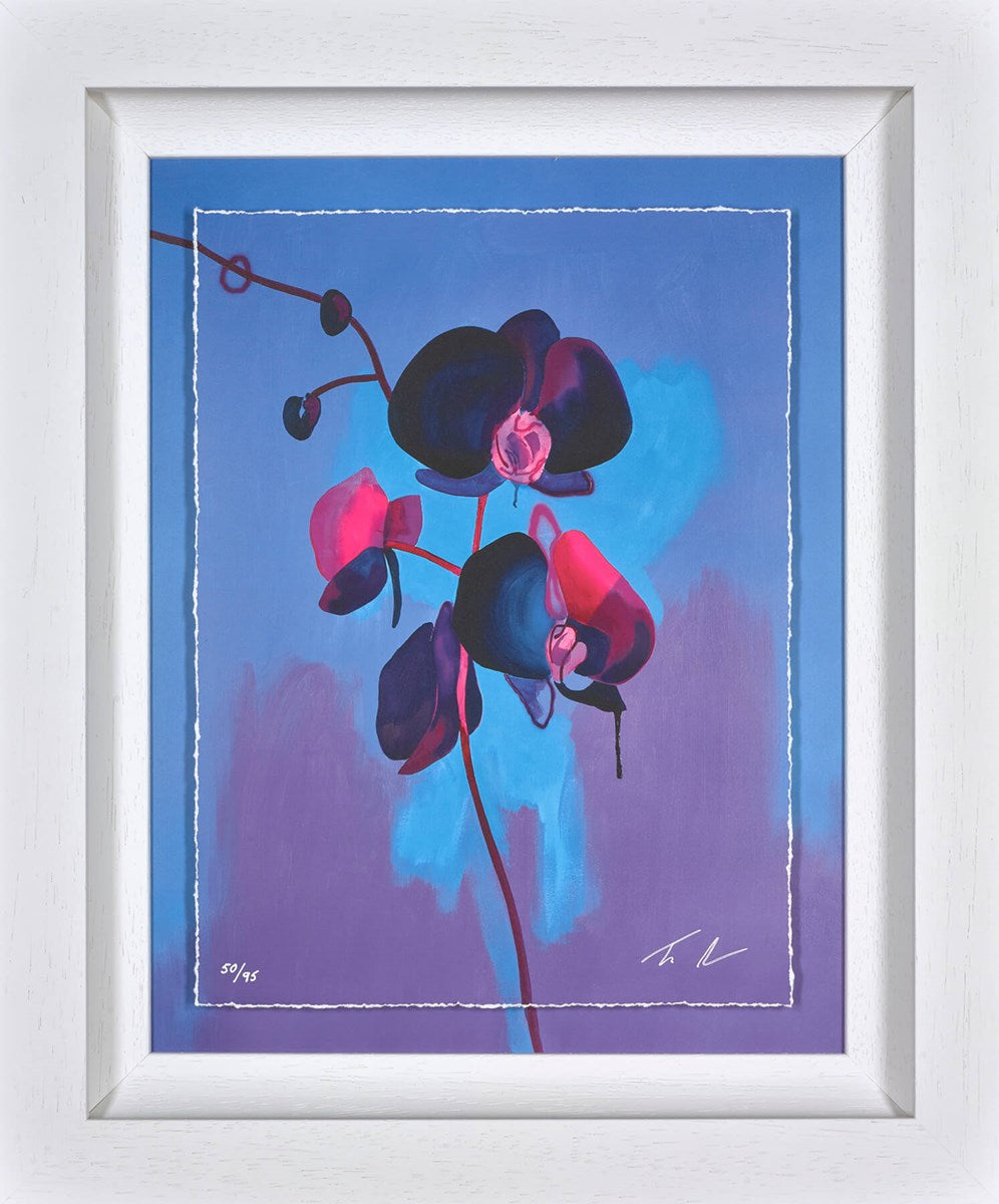 Eclipse | Tim Fowler – Clarendon Fine Art
