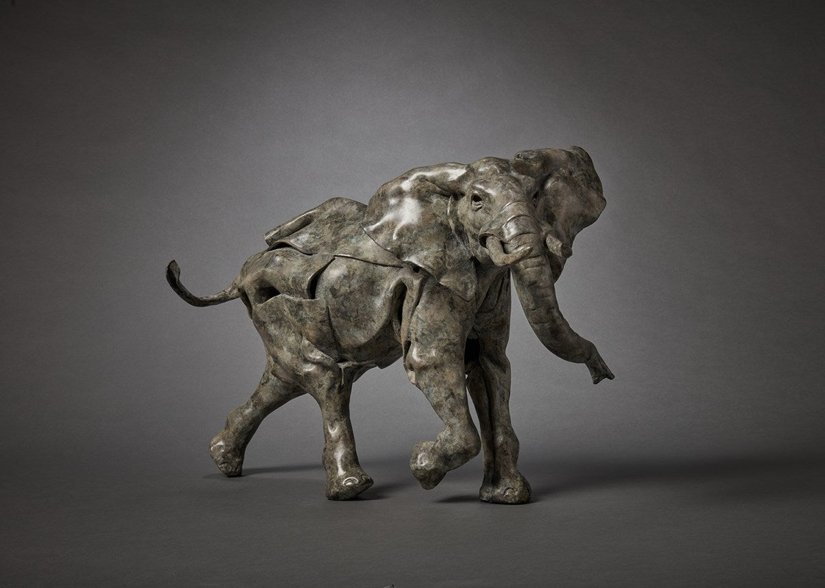 Elephant | Fred Gordon - Clarendon Fine Art