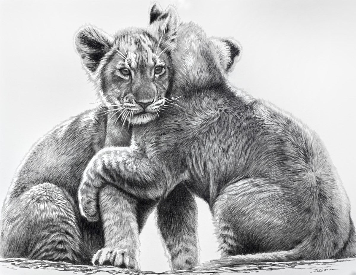 Lion Cubs | Darryn Eggleton – Clarendon Fine Art