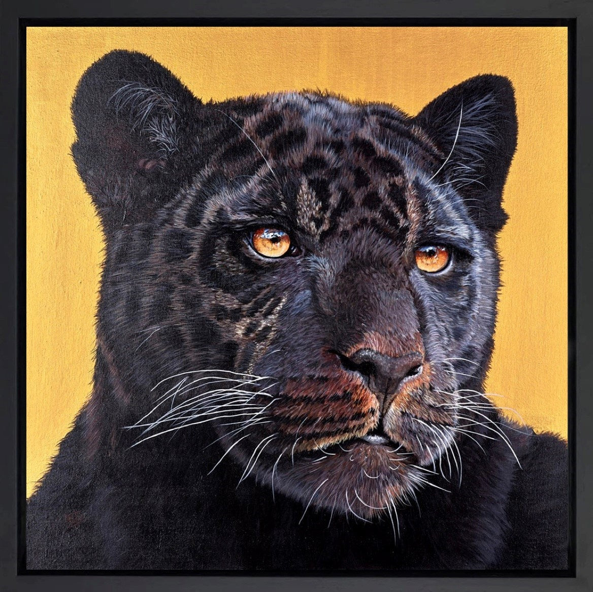 Black Magic II | Sue Payton – Clarendon Fine Art