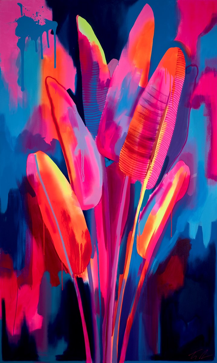 Travellers Palm | Tim Fowler - Clarendon Fine Art