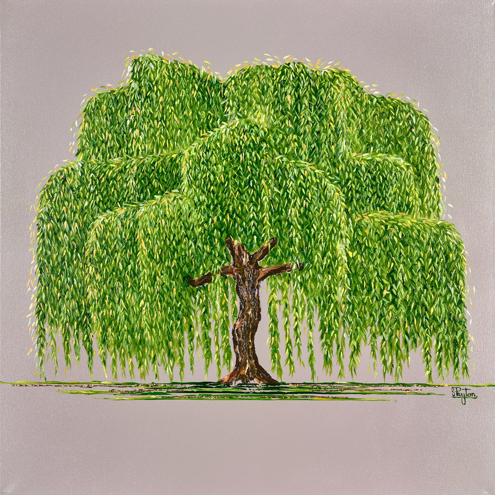Willow II | Sue Payton – Clarendon Fine Art