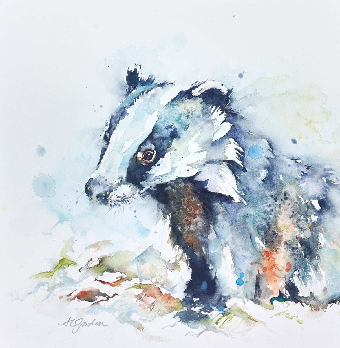 Young Brock | Amanda Gordon – Clarendon Fine Art