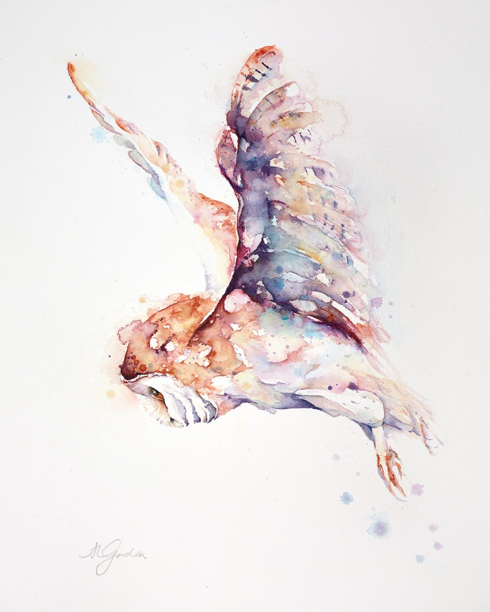 Quiet Hunter - Barn Owl | Amanda Gordon – Clarendon Fine Art