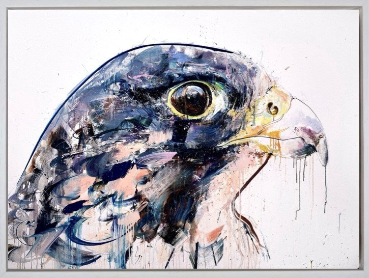 Peregrine Falcon | Dave White - Clarendon Fine Art