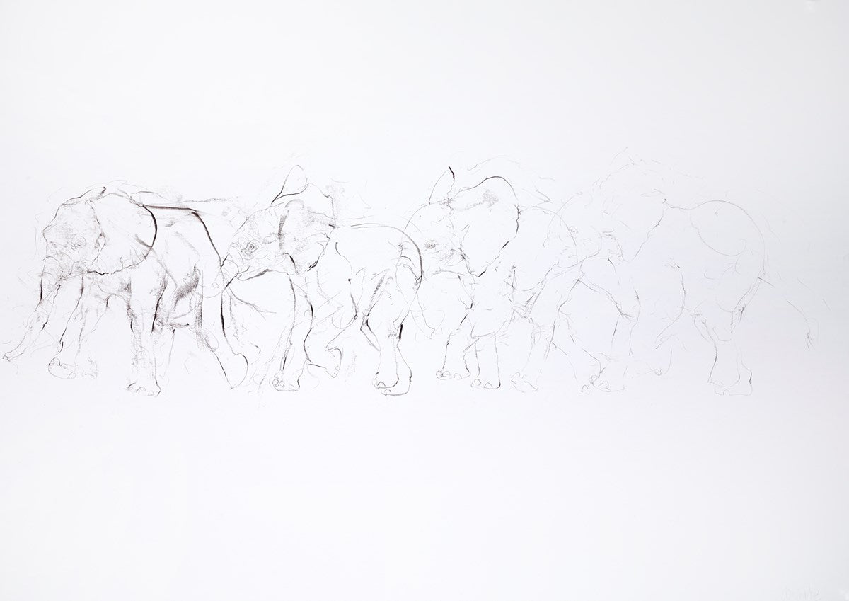 Walking Elephant Study II | Dave White - Clarendon Fine Art
