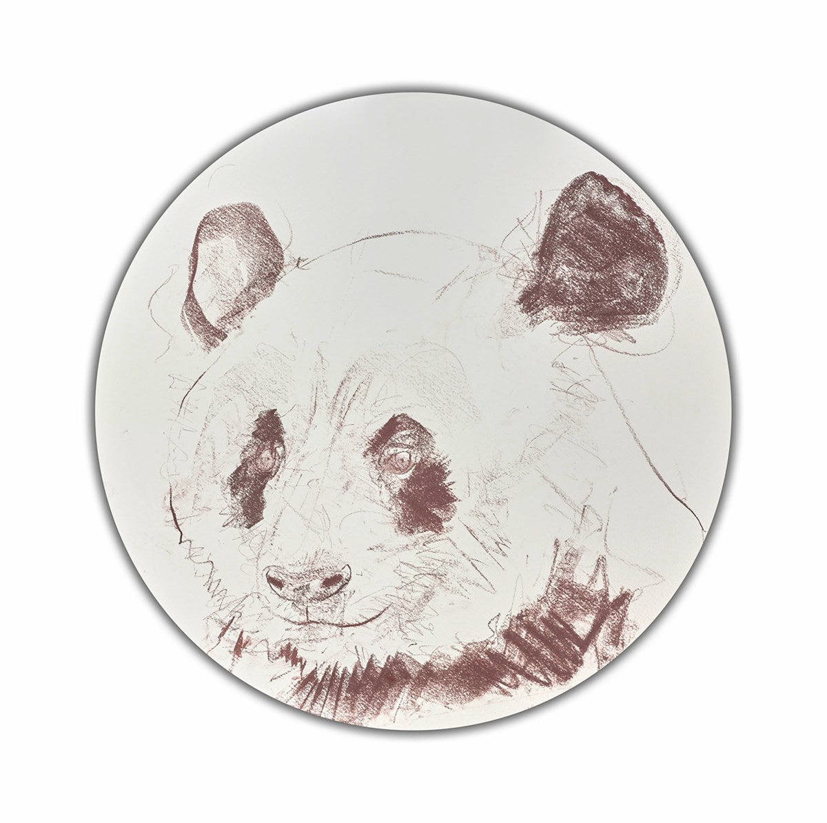 Giant Panda Study VIII | Dave White – Clarendon Fine Art
