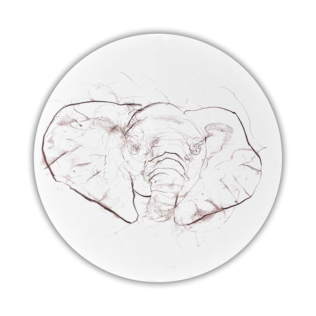 Elephant Study IV | Dave White - Clarendon Fine Art