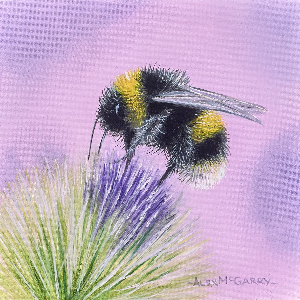 Bumble Bee | Alex McGarry – Clarendon Fine Art
