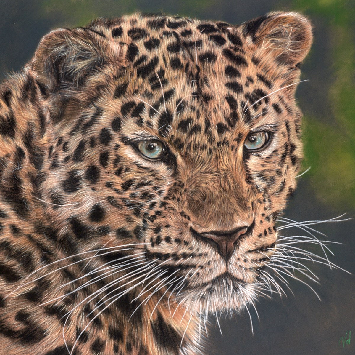 Observation | Valerie Simms – Clarendon Fine Art
