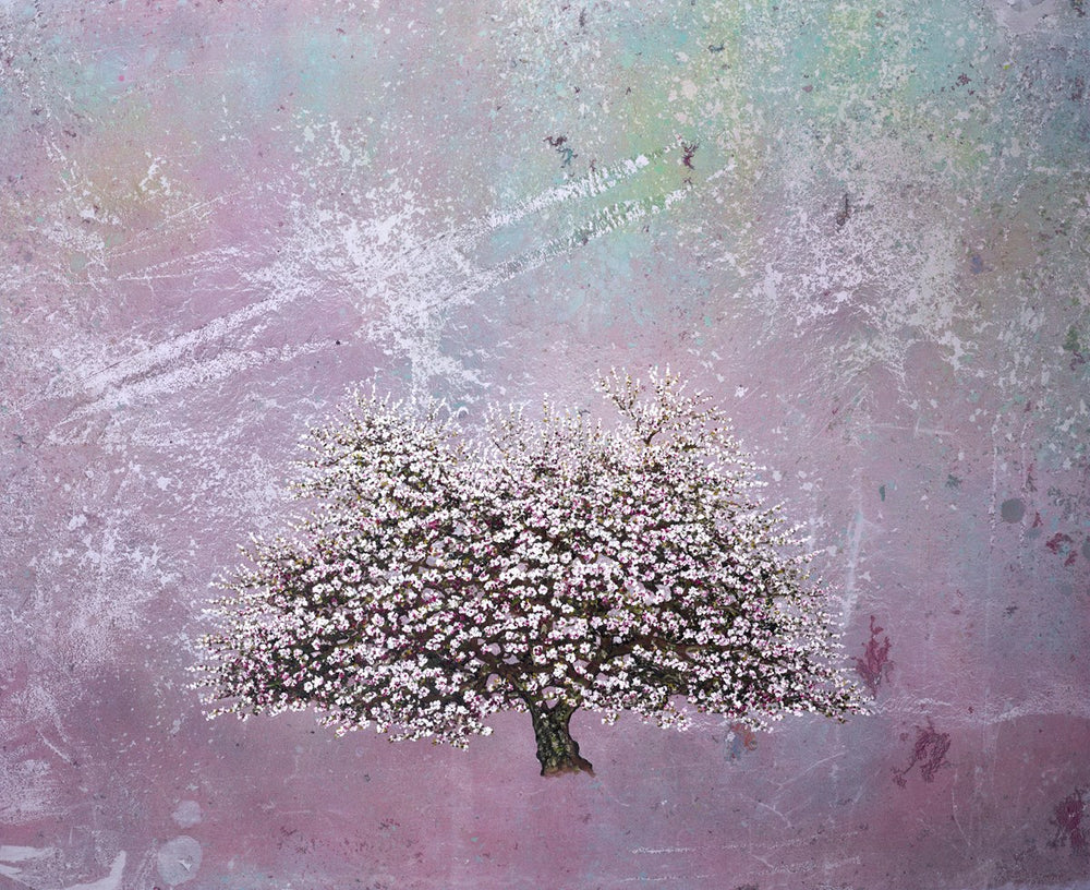 Lavender Bloom | Jack Frame – Clarendon Fine Art