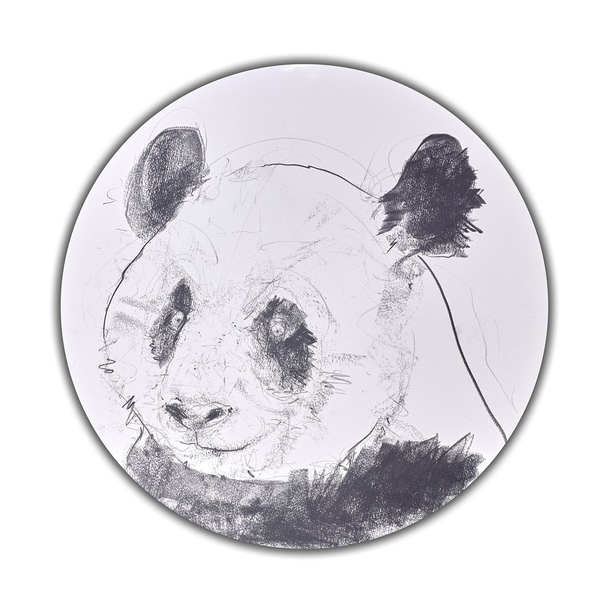 Giant Panda Study II | Dave White - Clarendon Fine Art