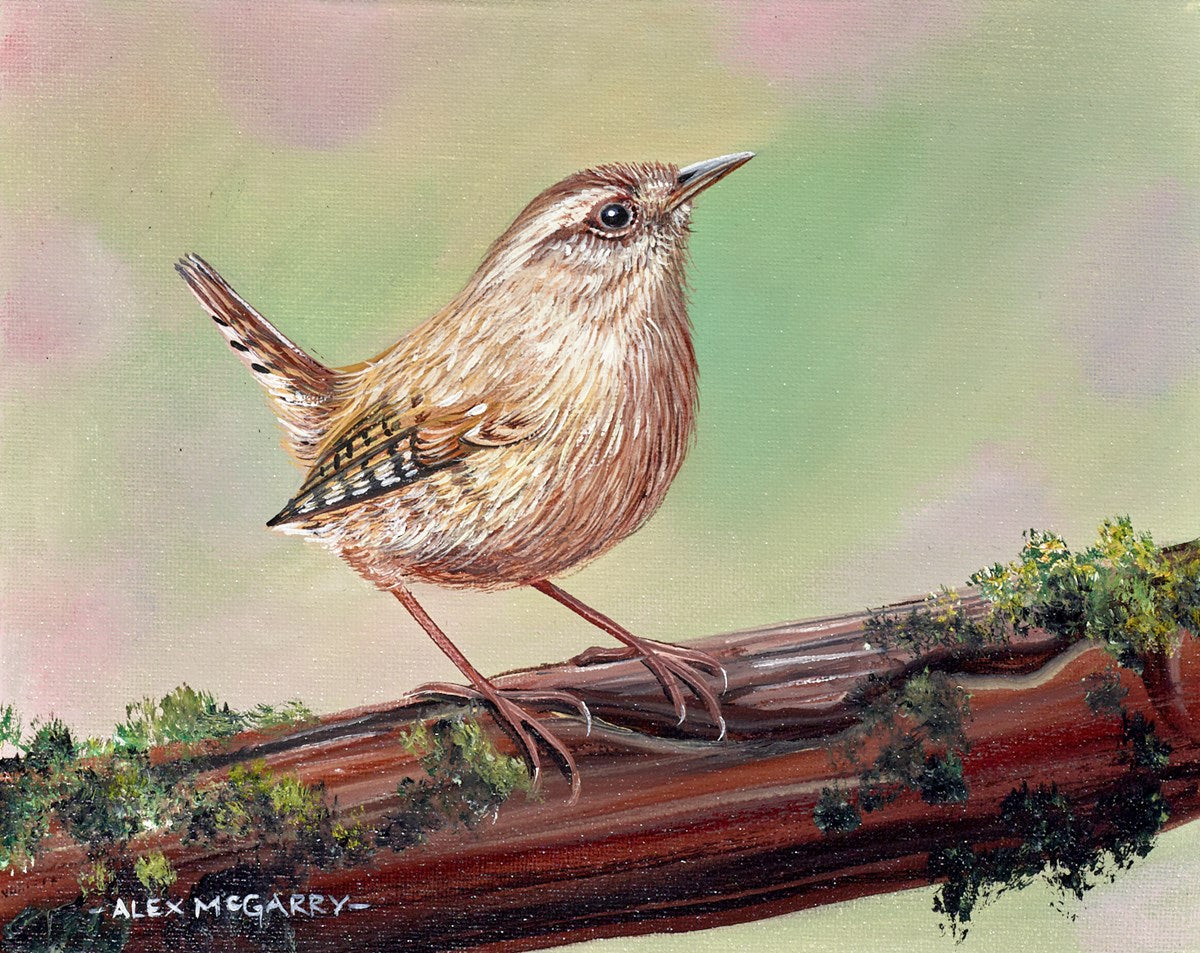 Wren III | Alex McGarry - Clarendon Fine Art
