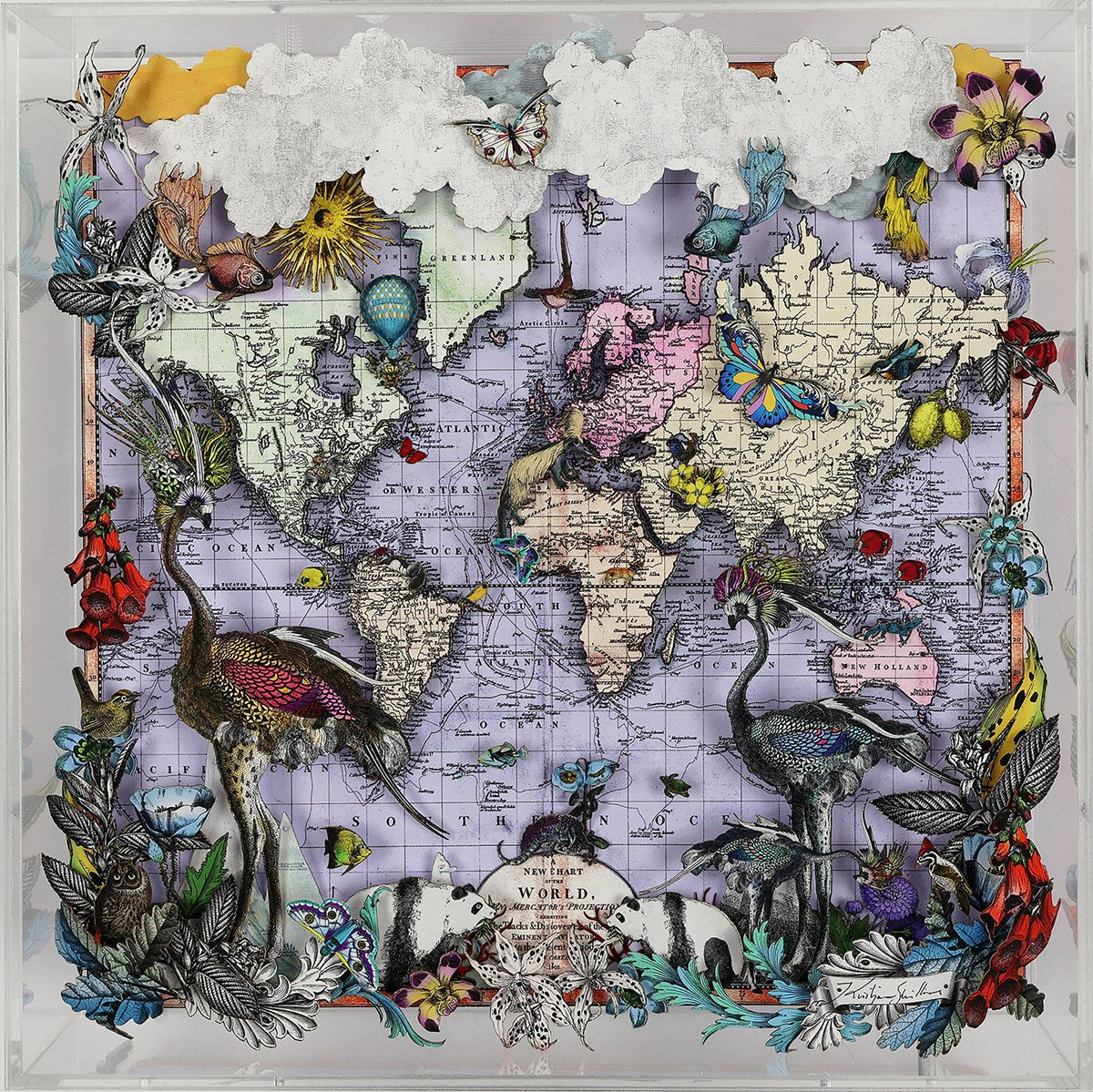 Navigators Floating Map - Ostrich Discoveries Of The World | Kristjana ...