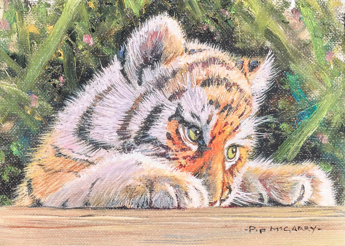 Tiger Cub IV | Pip McGarry - Clarendon Fine Art