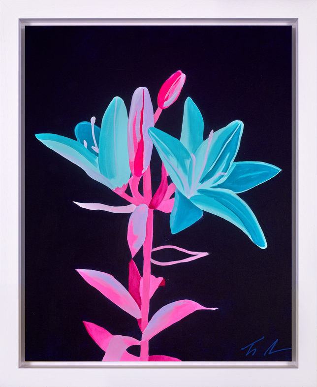 Inverted Lily | Tim Fowler – Clarendon Fine Art