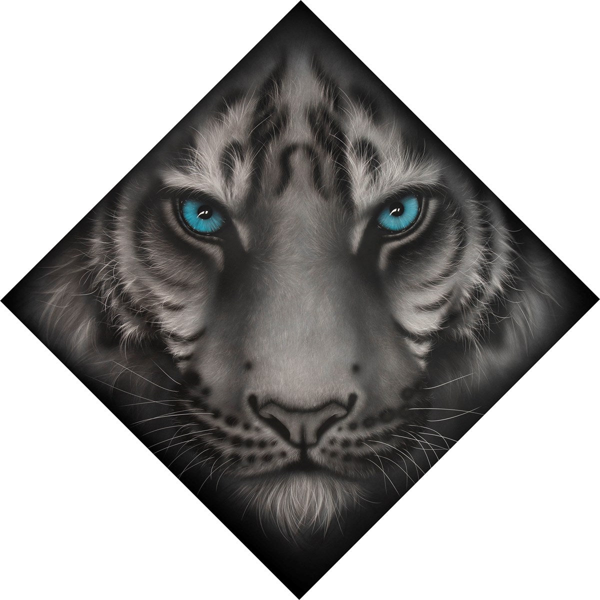 Never In Doubt | Colin Banks - Clarendon Fine Art