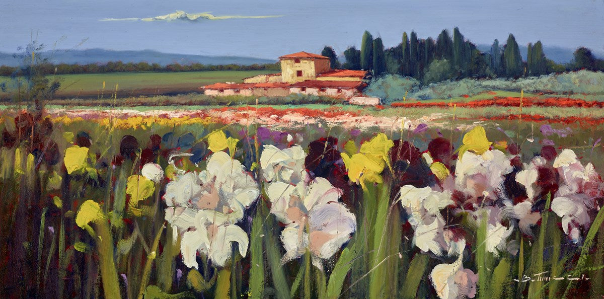 La Toscana Fiorisce III | Bruno Tinucci – Clarendon Fine Art
