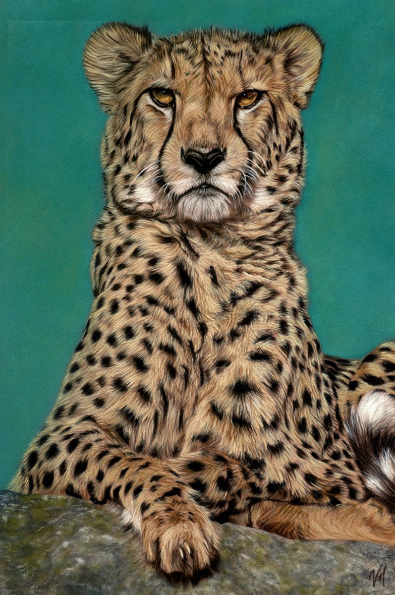 Perfect Posture | Valerie Simms – Clarendon Fine Art