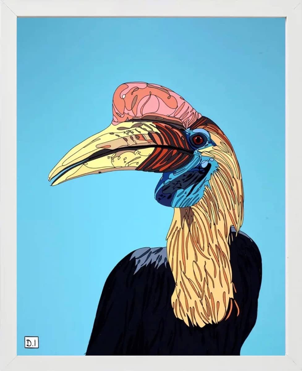 Hornbill II | Dylan Izaak - Clarendon Fine Art