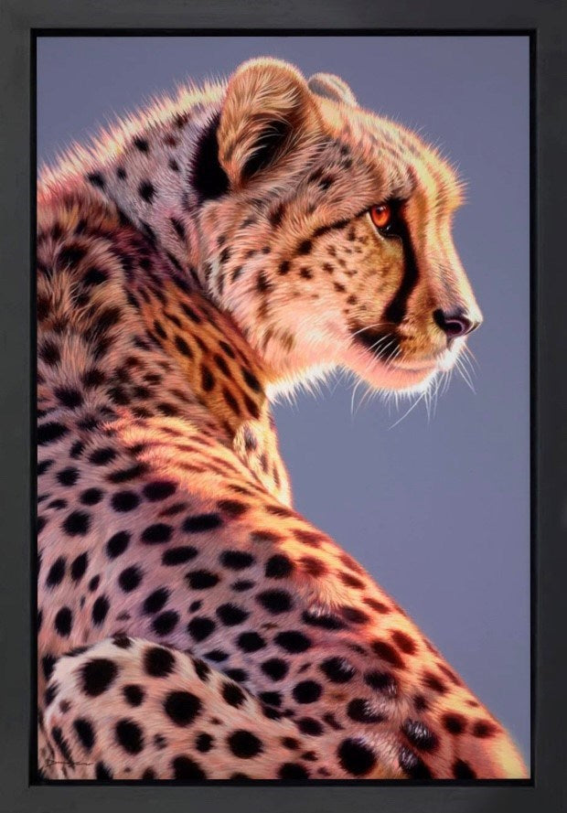 In The Limelight | Darryn Eggleton - Clarendon Fine Art