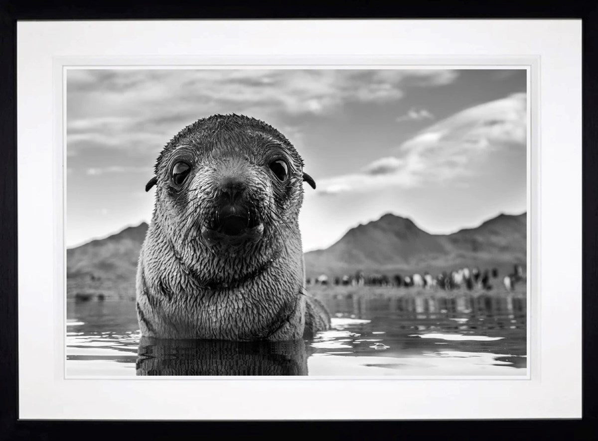 From The Brink | Harry Skeggs – Clarendon Fine Art